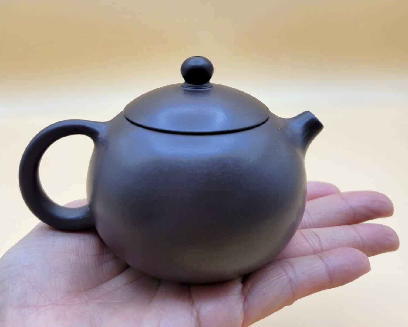 Hei Liao Zisha Teapot - Authentic Black Yixing Zisha Clay